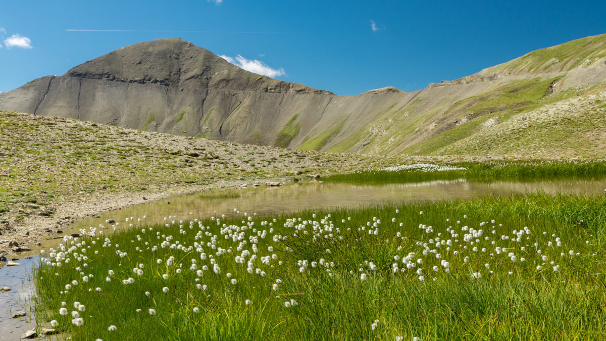 Col de la Bonette-10 - Métropole Nice Côte d'Azur